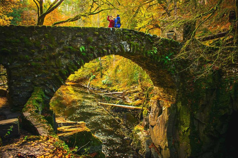 Best Things to Do in Dunkeld & Birnam